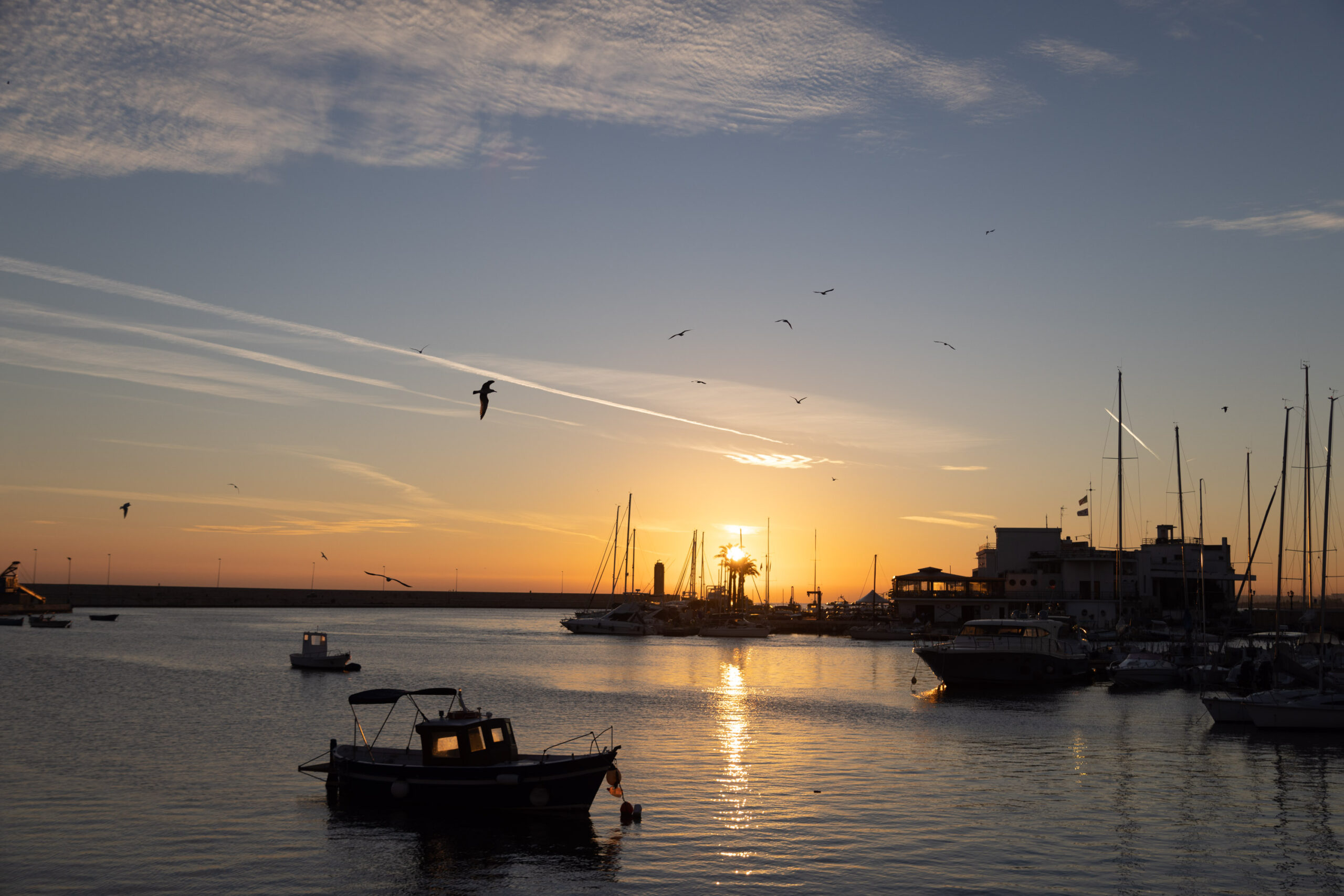 Bari Vecchia - Michael DiGioia